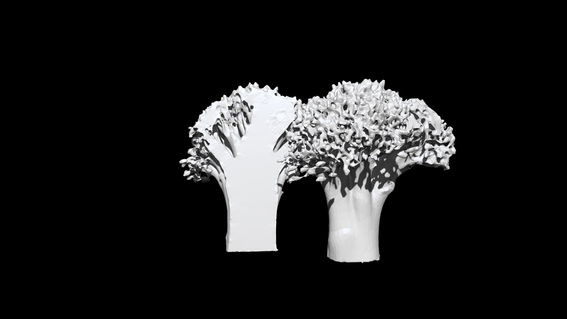 Broccoli Cut 3D CT Scan Model 7 Decimate 30percent 3D Model ...