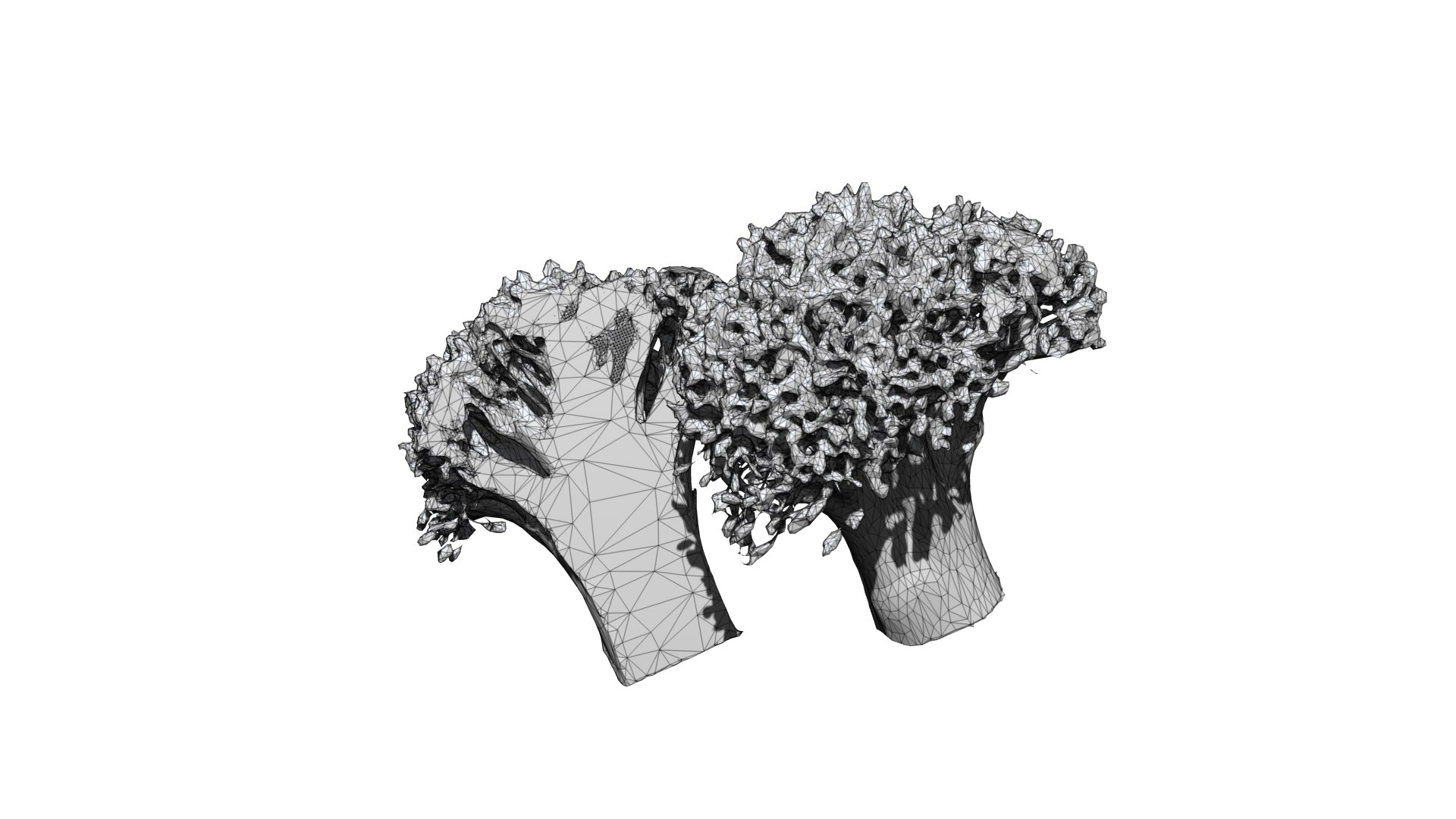 Broccoli Cut 3D CT Scan Model 7 Decimate 30percent 3D Model ...