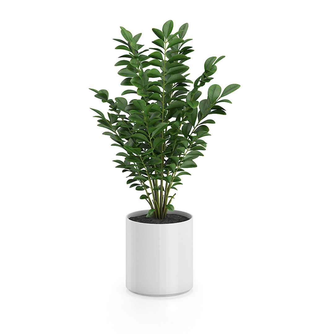 3d Plant Pot Model