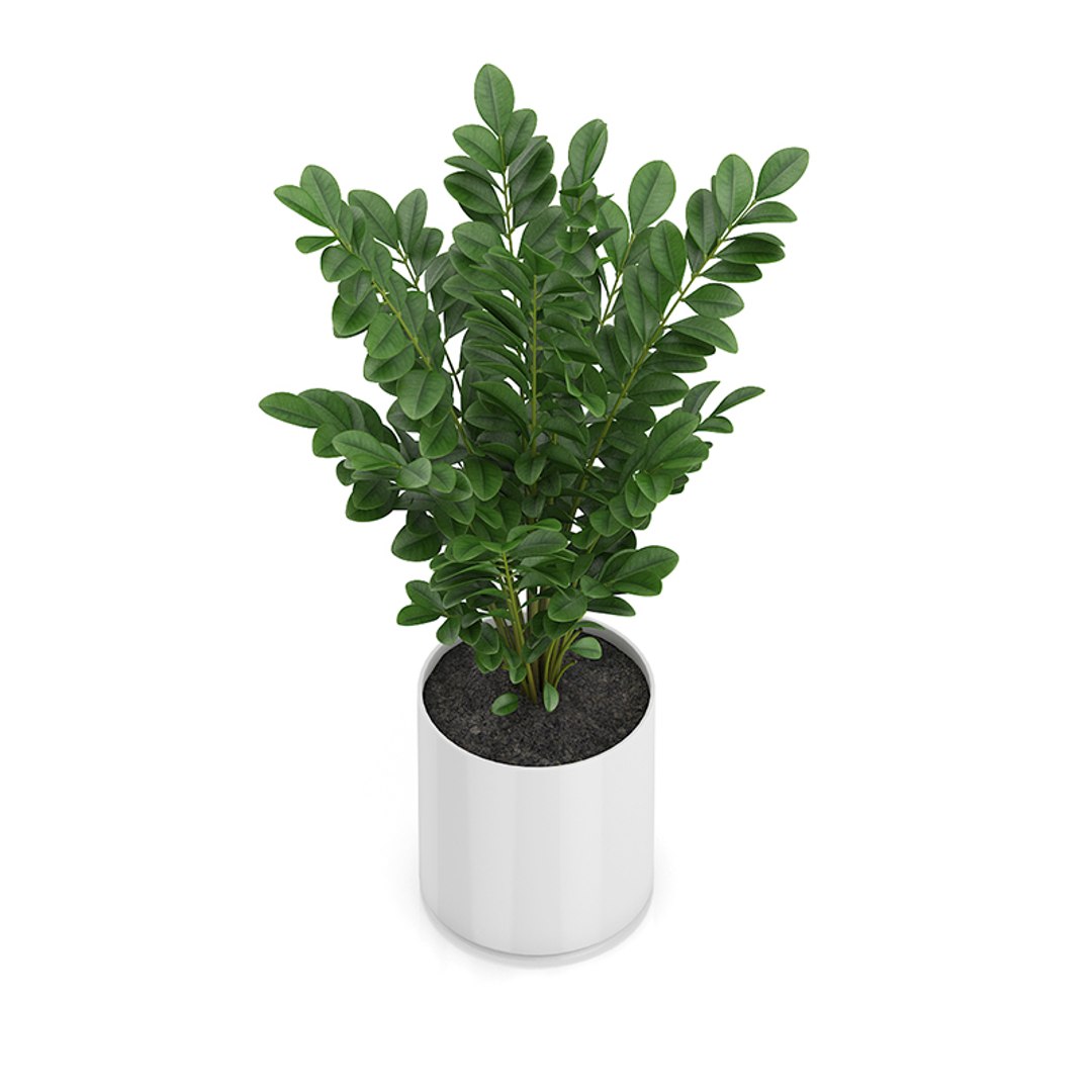 3d Plant Pot Model