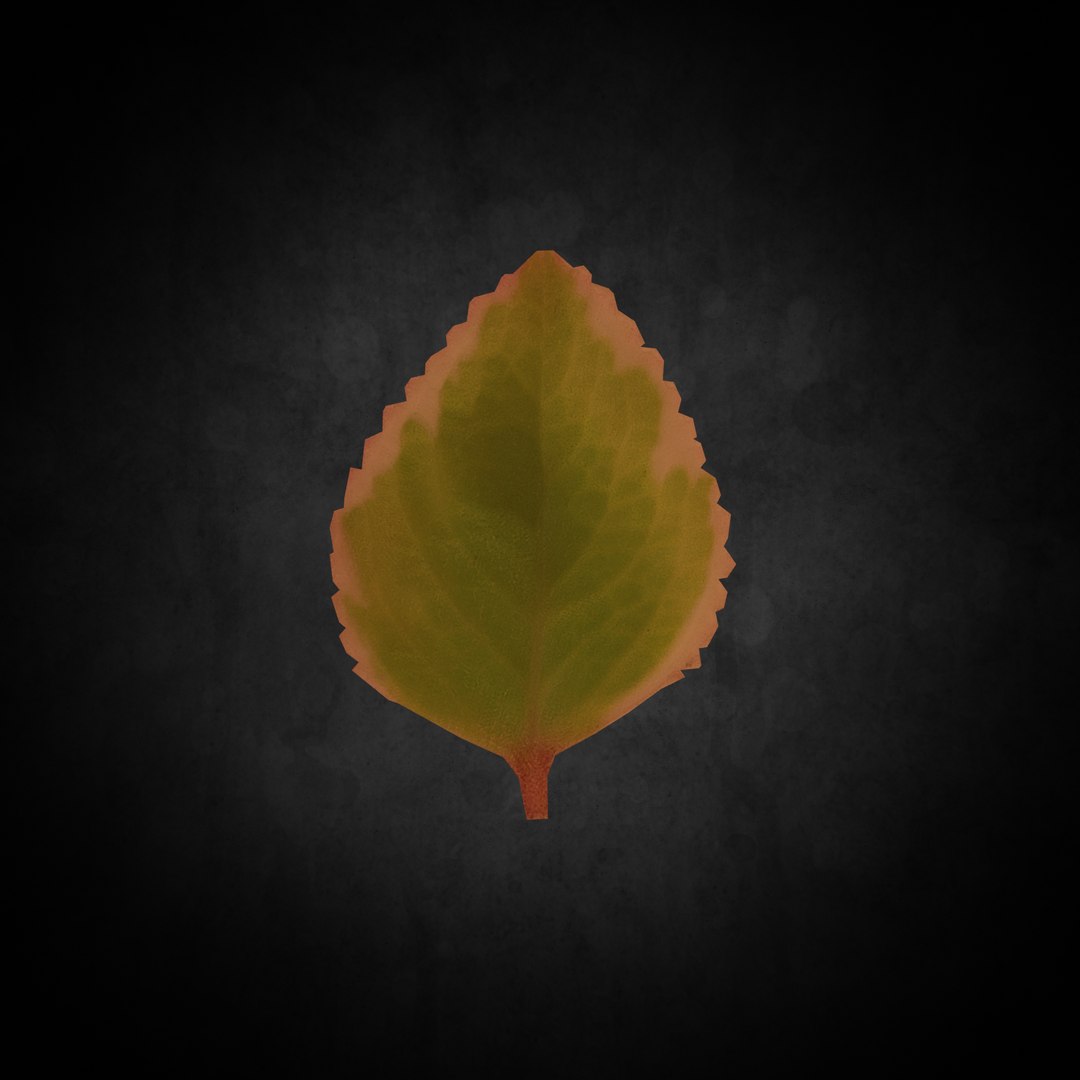3D Low Poly Leaf 055 - TurboSquid 1852429