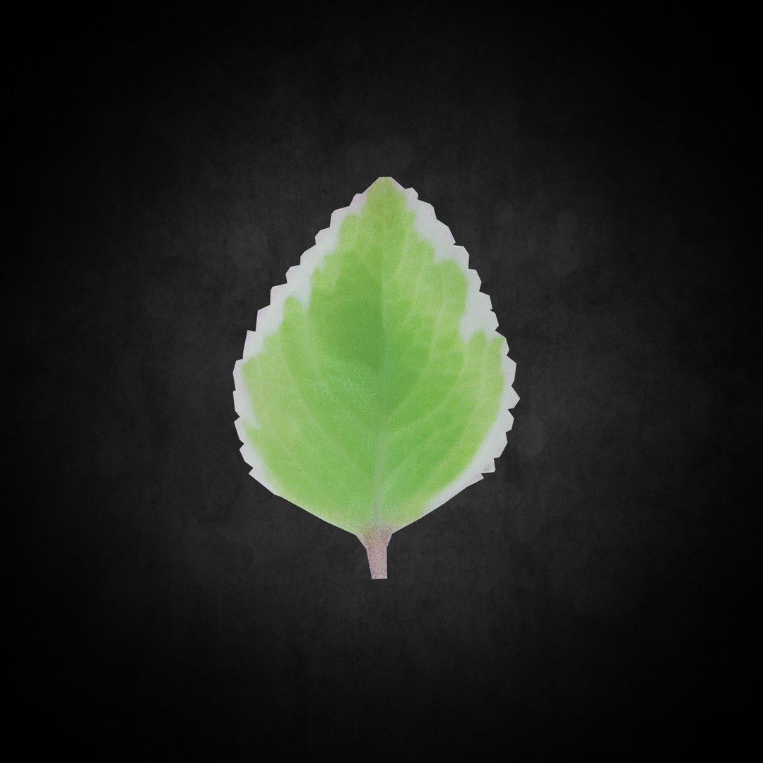 3D Low Poly Leaf 055 - TurboSquid 1852429