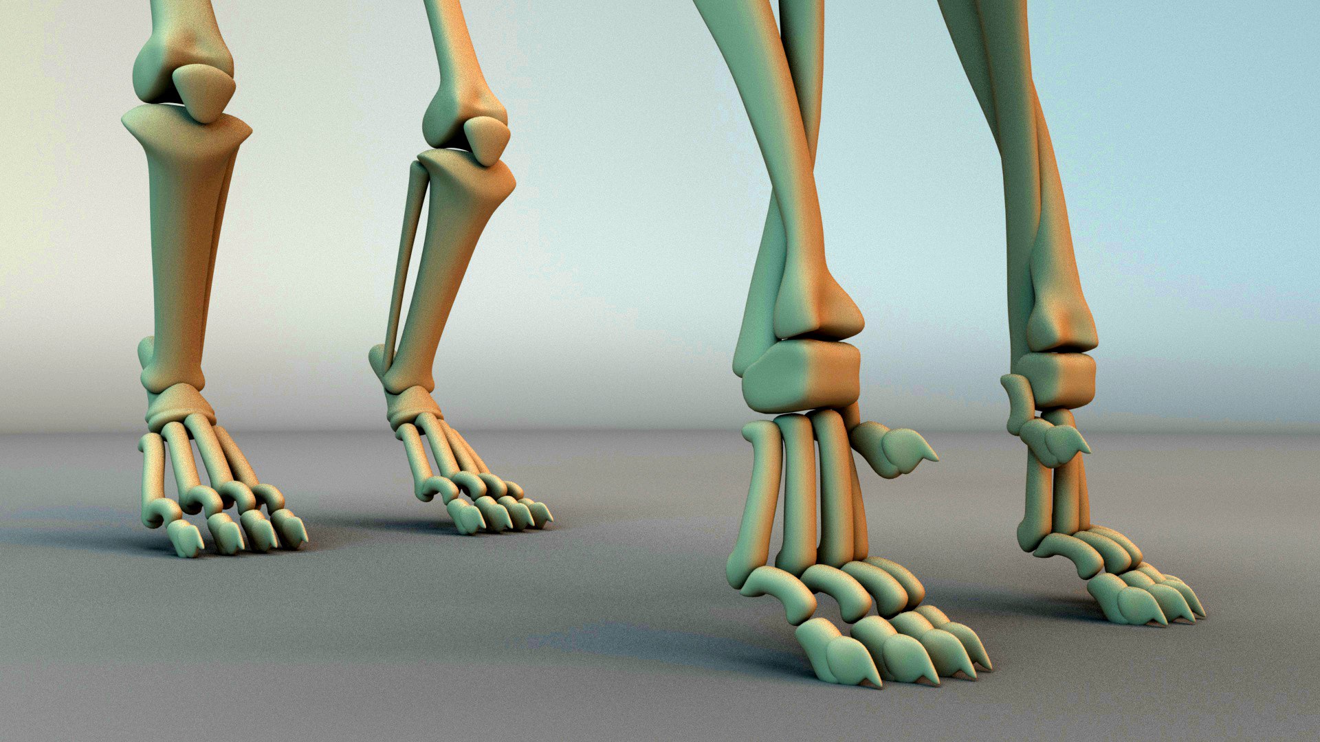 3D Skeleton Smilodon Model - TurboSquid 1662296