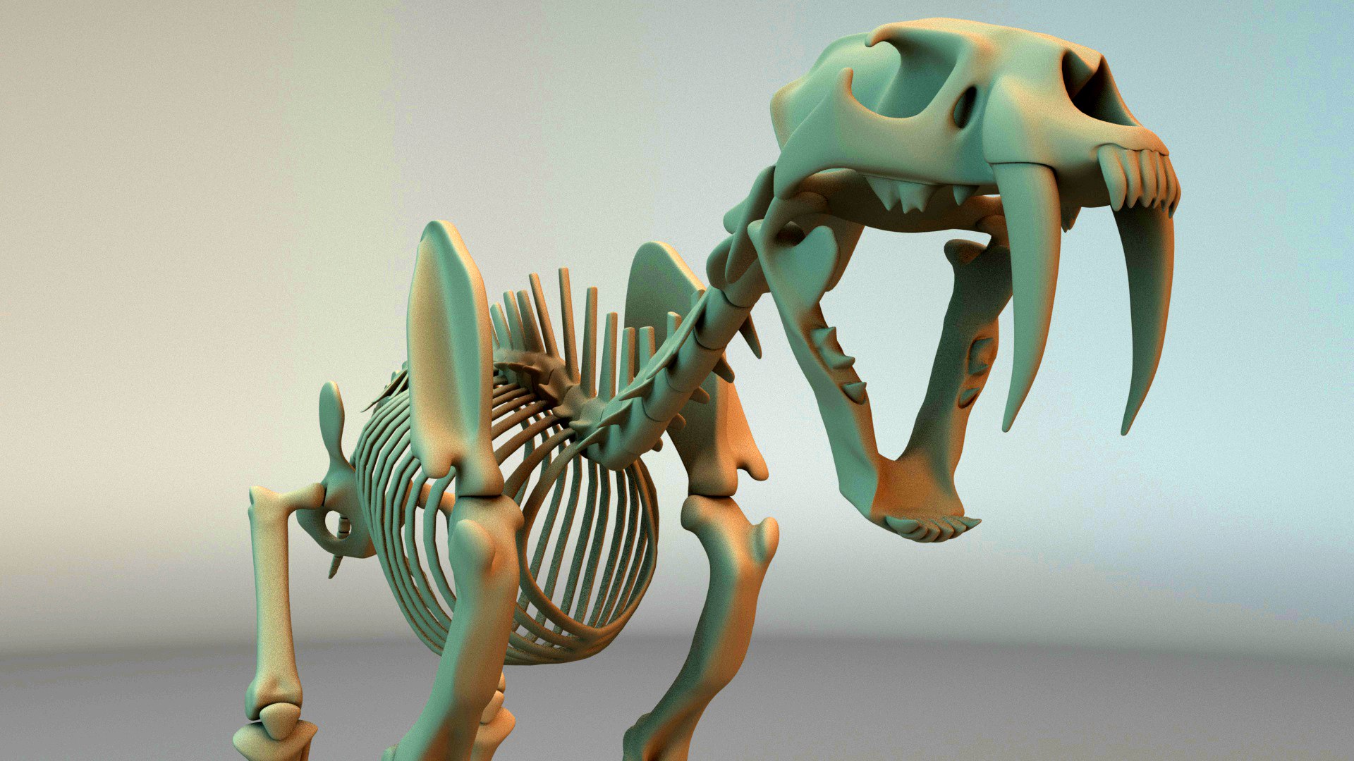 3D Skeleton Smilodon Model - TurboSquid 1662296