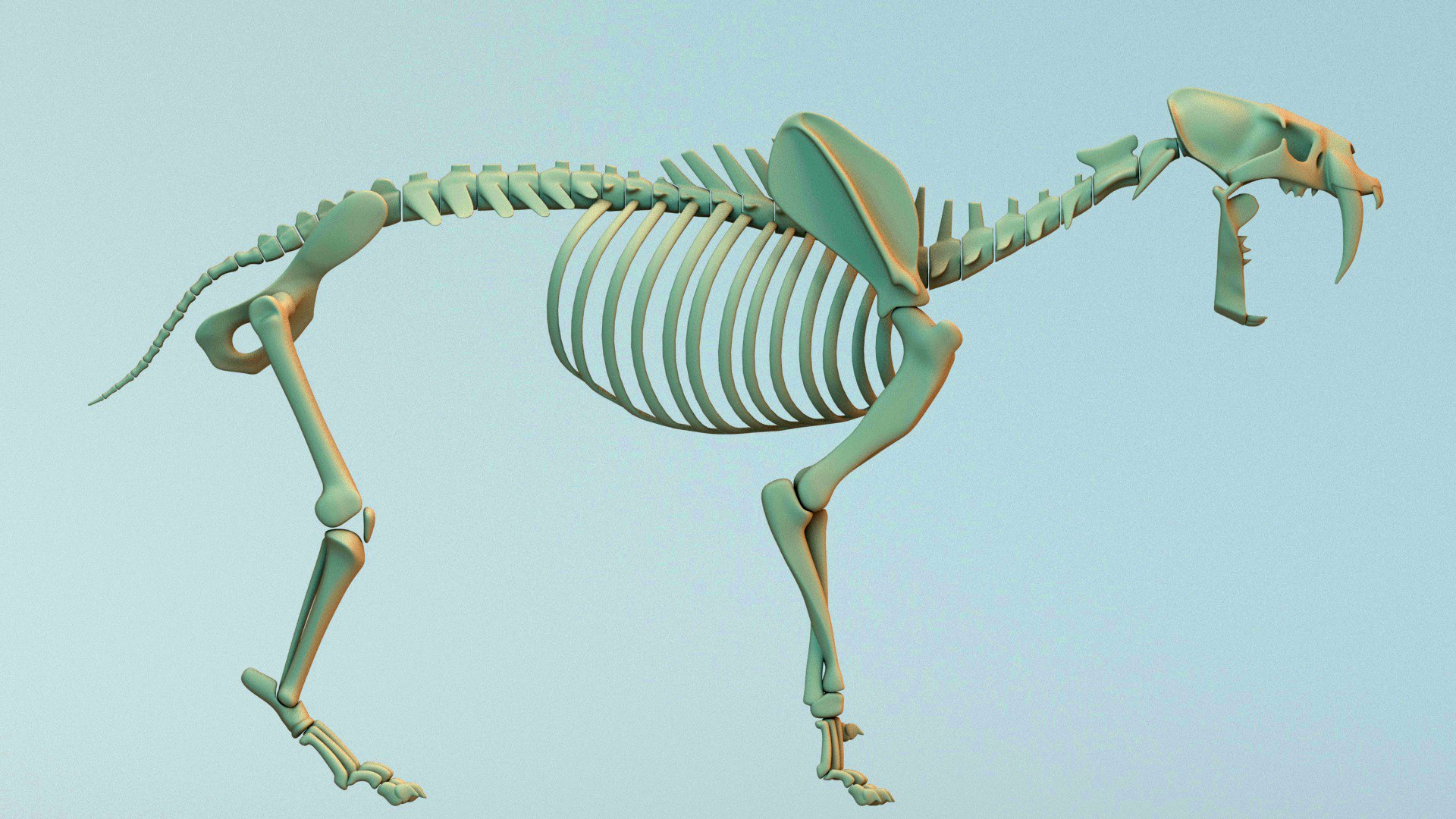 3D Skeleton Smilodon Model - TurboSquid 1662296