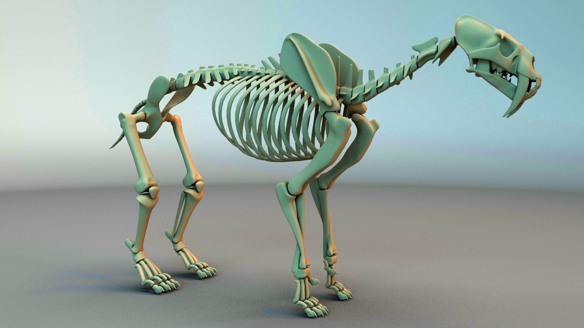 3D Skeleton Smilodon Model - TurboSquid 1662296