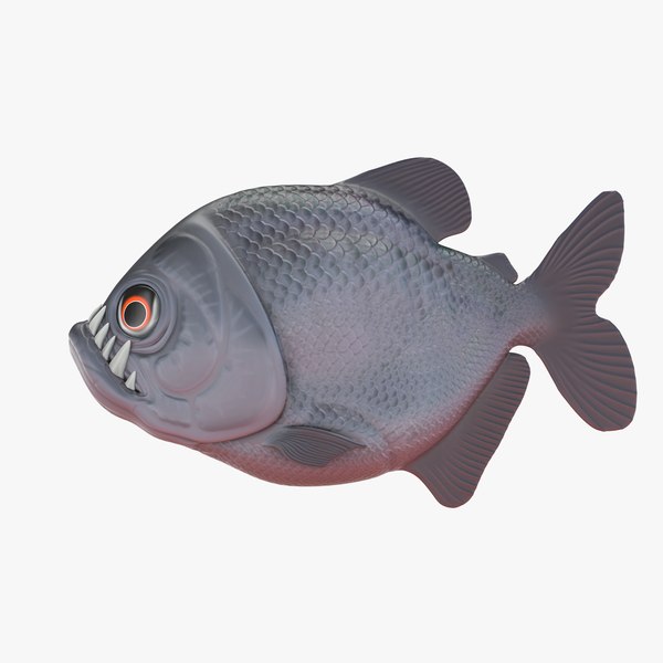 Cartoon Fish 3D Models for Download | TurboSquid