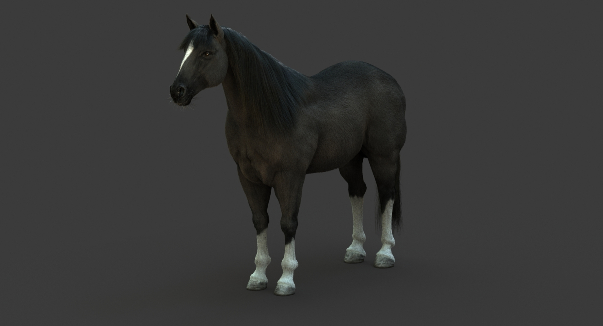 3D Horse Black Model - TurboSquid 1220770