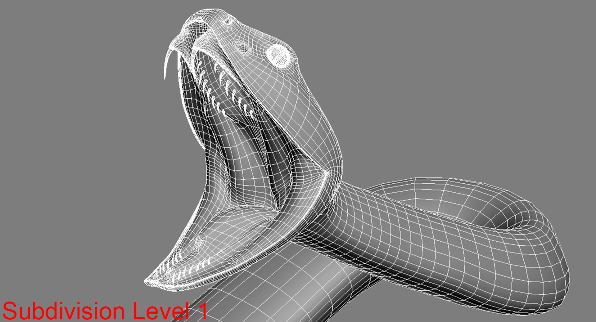 Snake Rattlesnake 3d Model