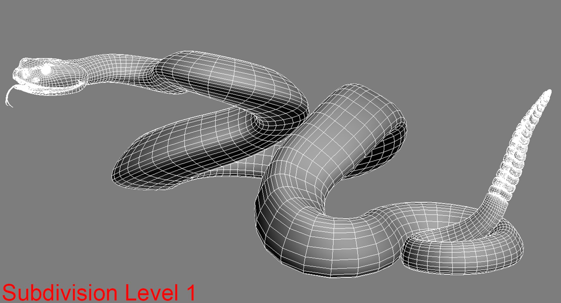 Snake Rattlesnake 3d Model
