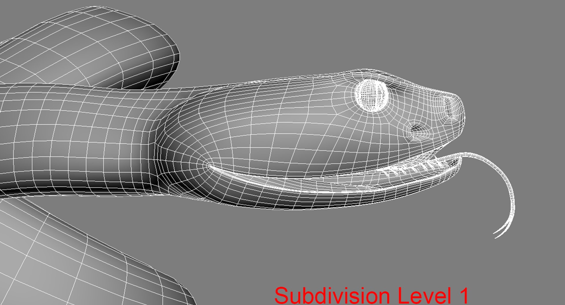 Snake Rattlesnake 3d Model
