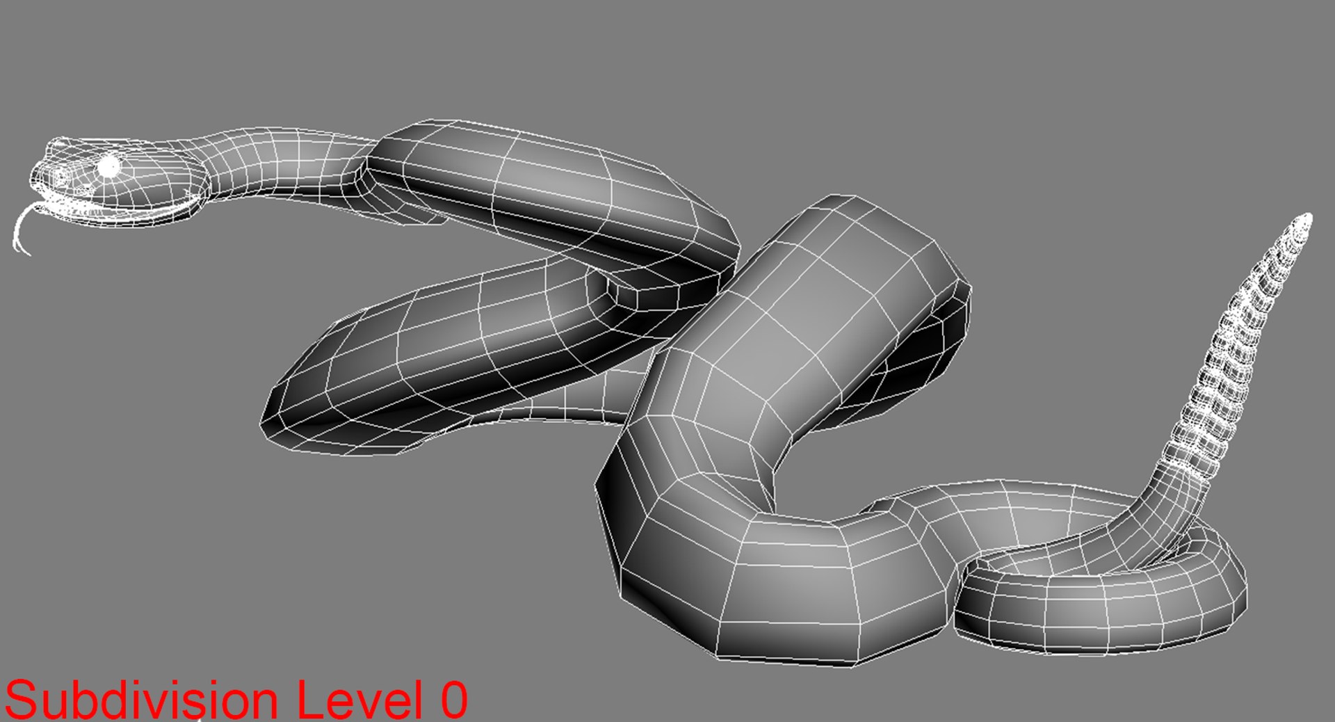 Snake Rattlesnake 3d Model