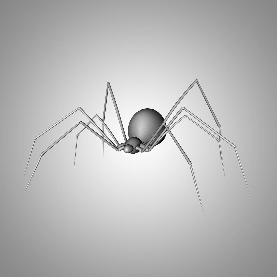 3d model spider
