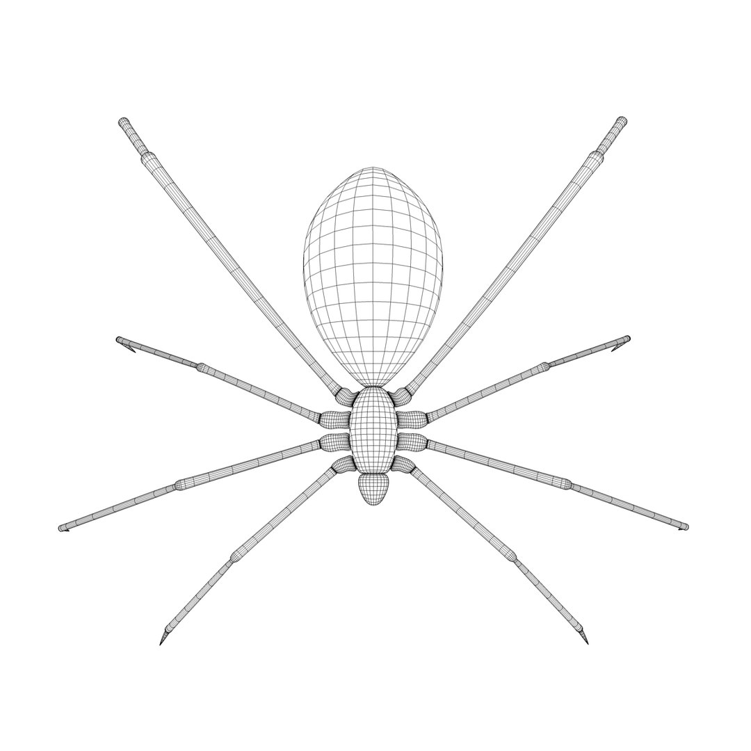 3d model spider