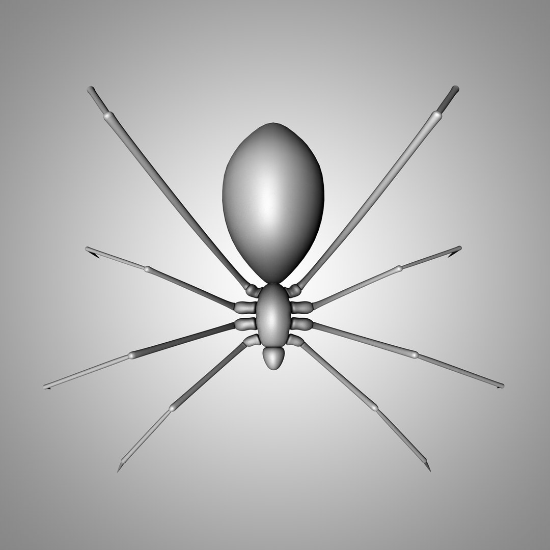 3d model spider