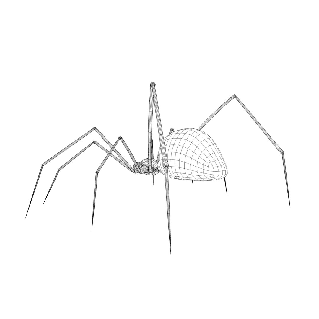 3d model spider
