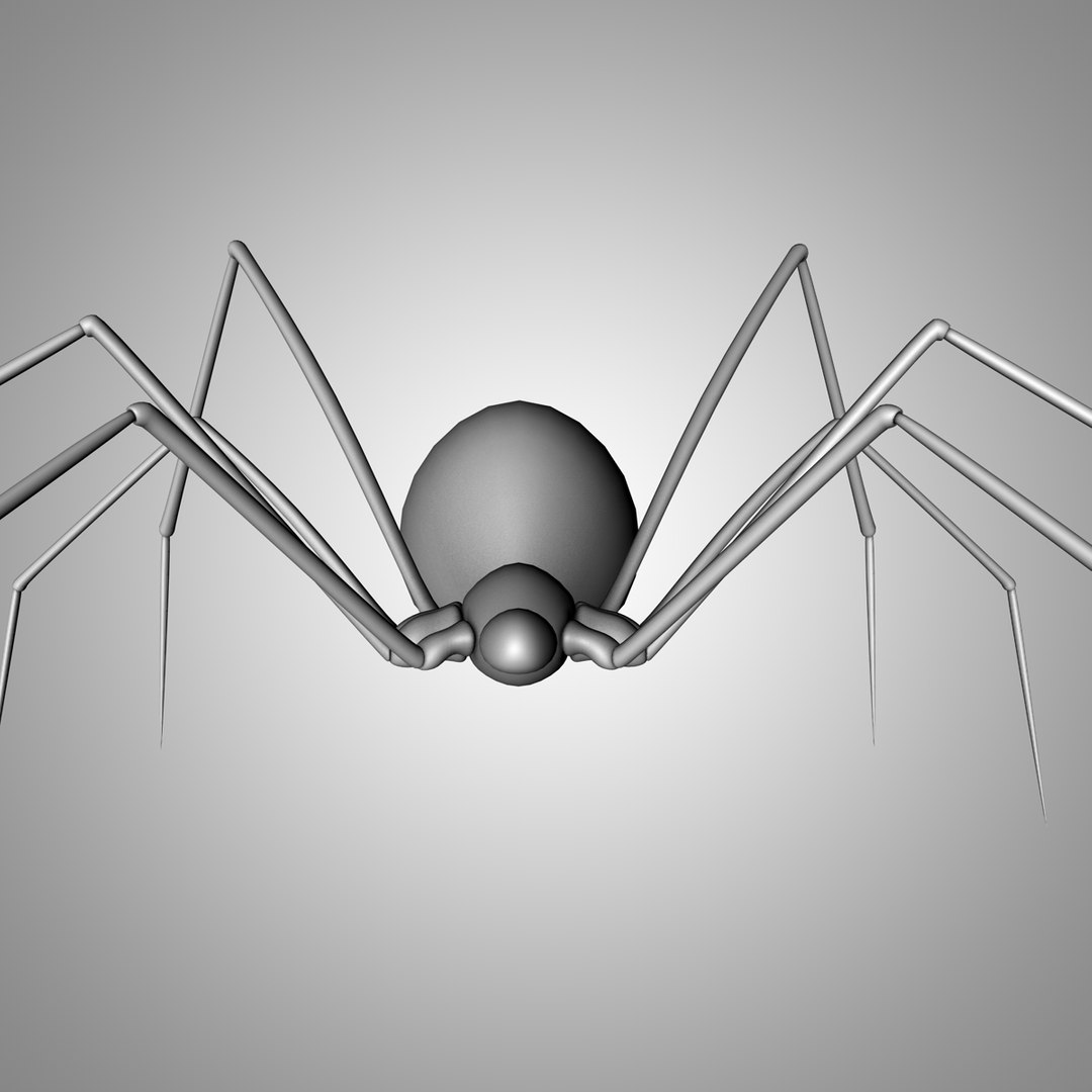 3d model spider