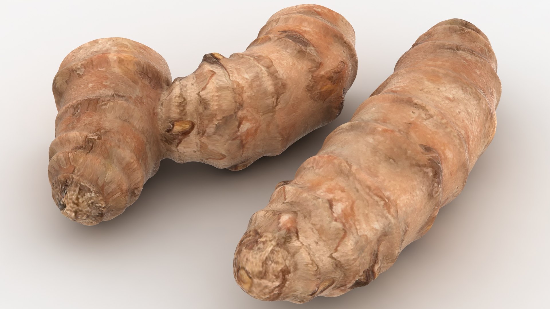 3D Model Root Turmeric Ginger - TurboSquid 1600241