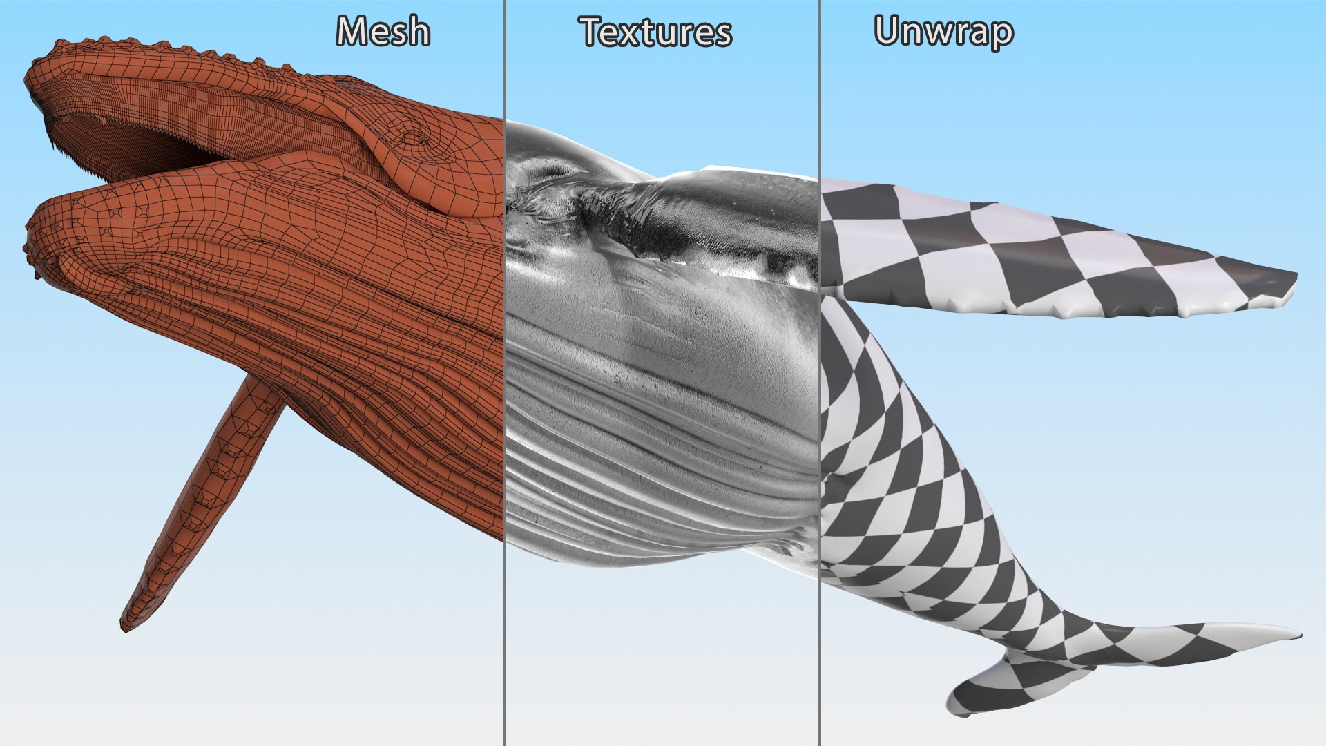 3d model humpback whale pose 4