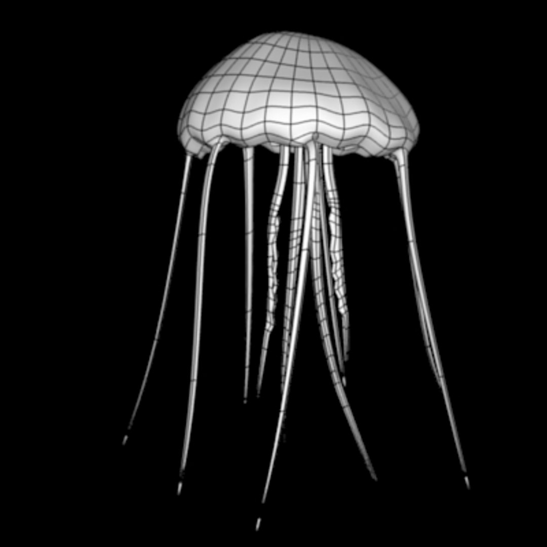 3d Jellyfish Jelly Fish Model