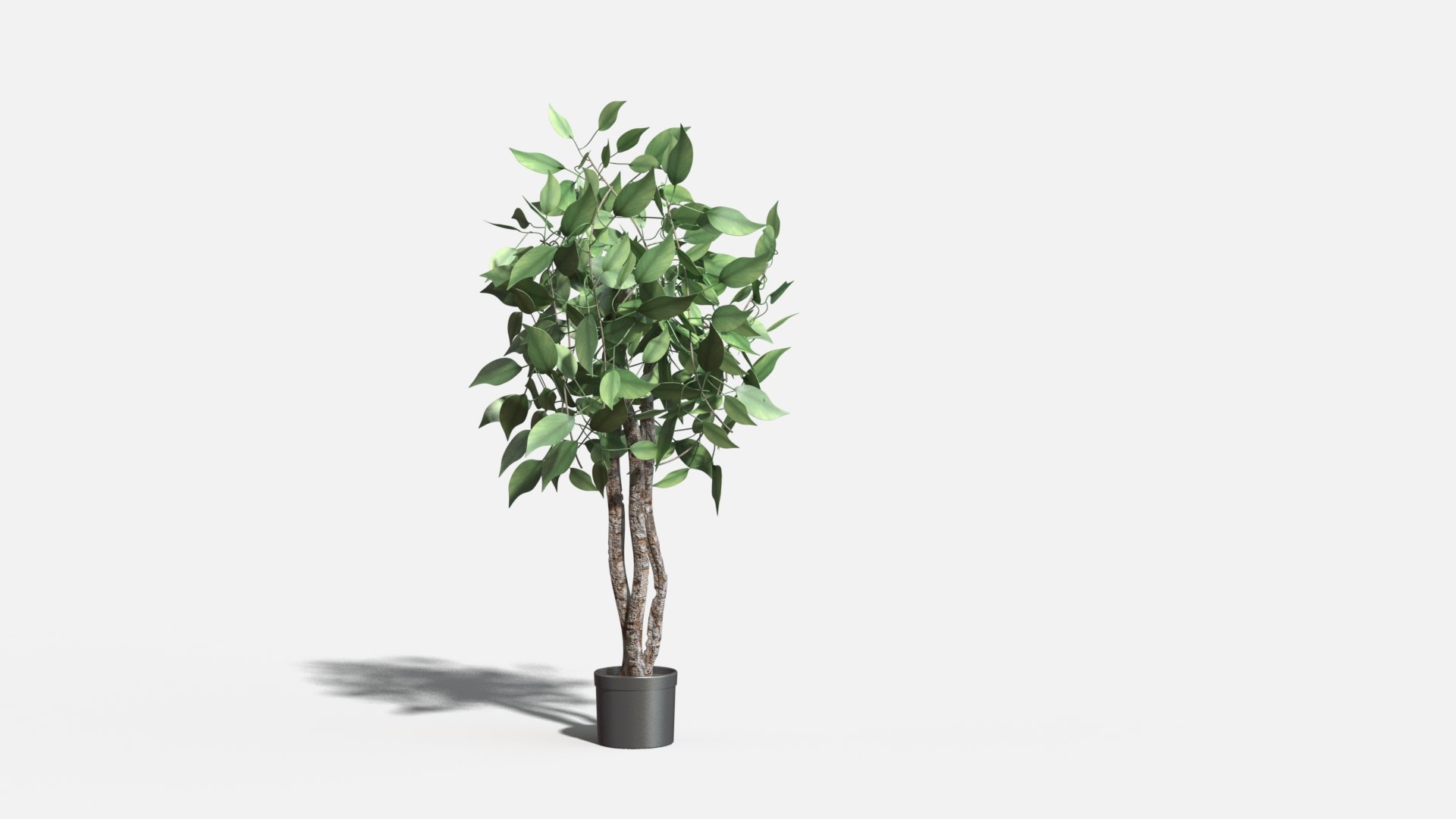 Little Tree 3D - TurboSquid 1445698