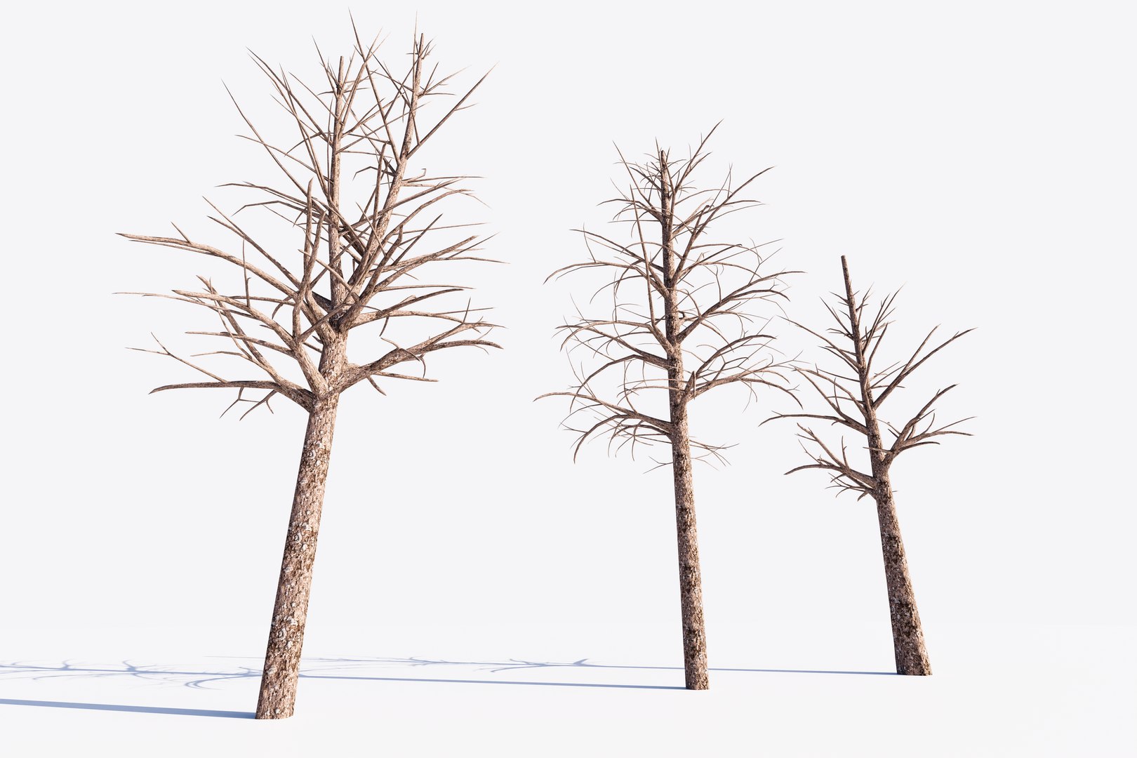 3D 3 Dead Trees Pack - TurboSquid 2249820