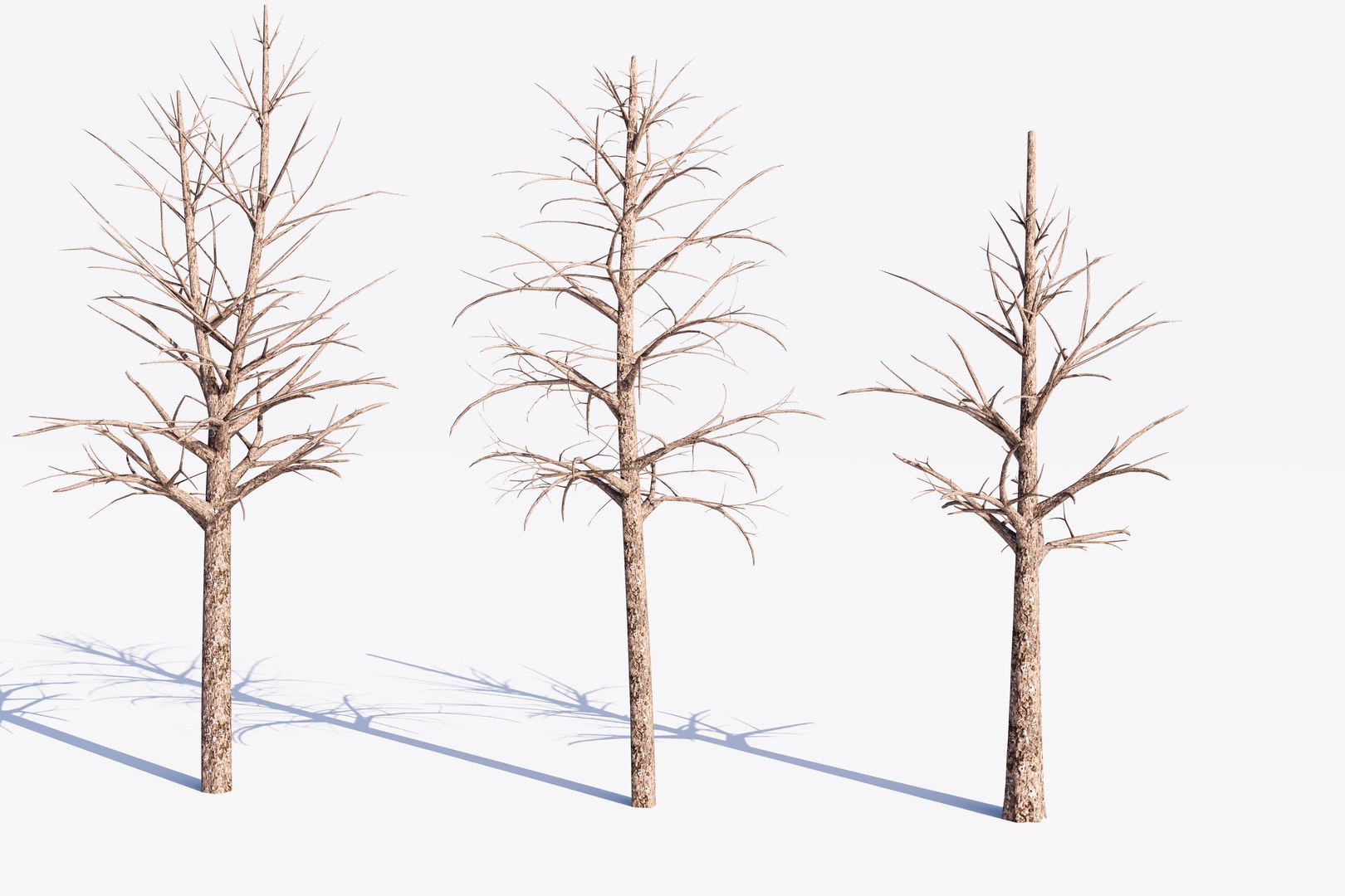 3D 3 Dead Trees Pack - TurboSquid 2249820