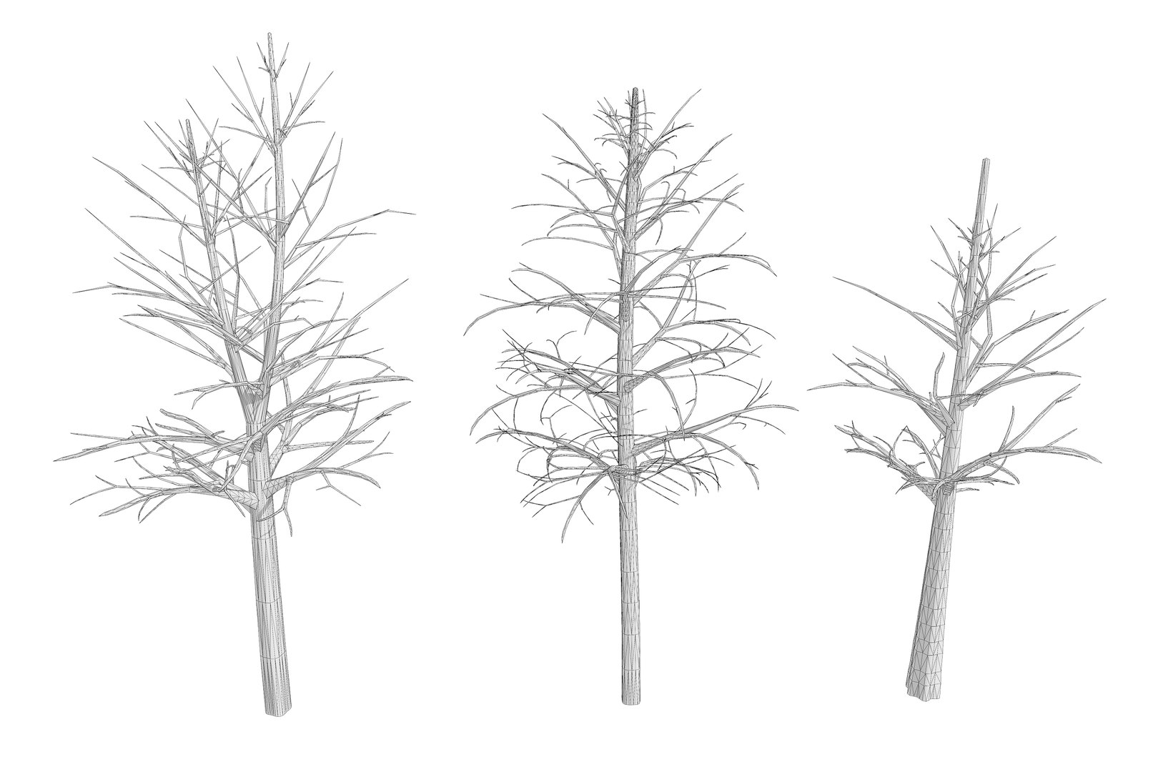 3D 3 Dead Trees Pack - TurboSquid 2249820