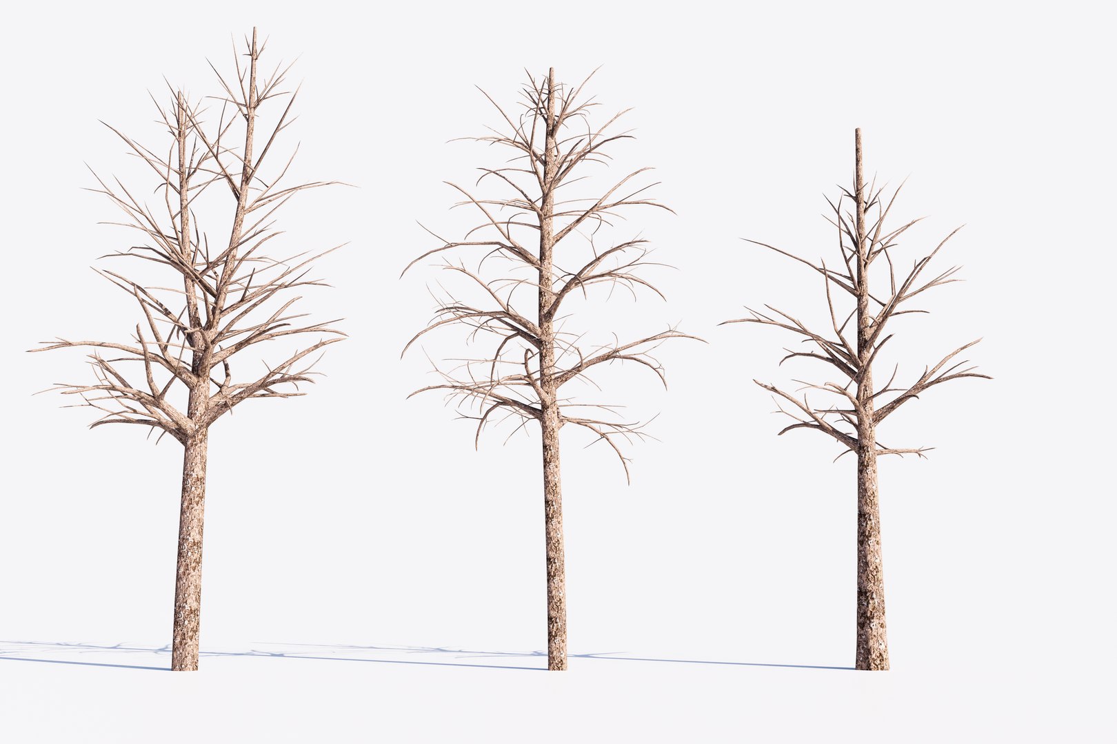 3D 3 Dead Trees Pack - TurboSquid 2249820