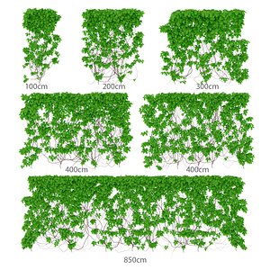 3D Vineyard Models | TurboSquid