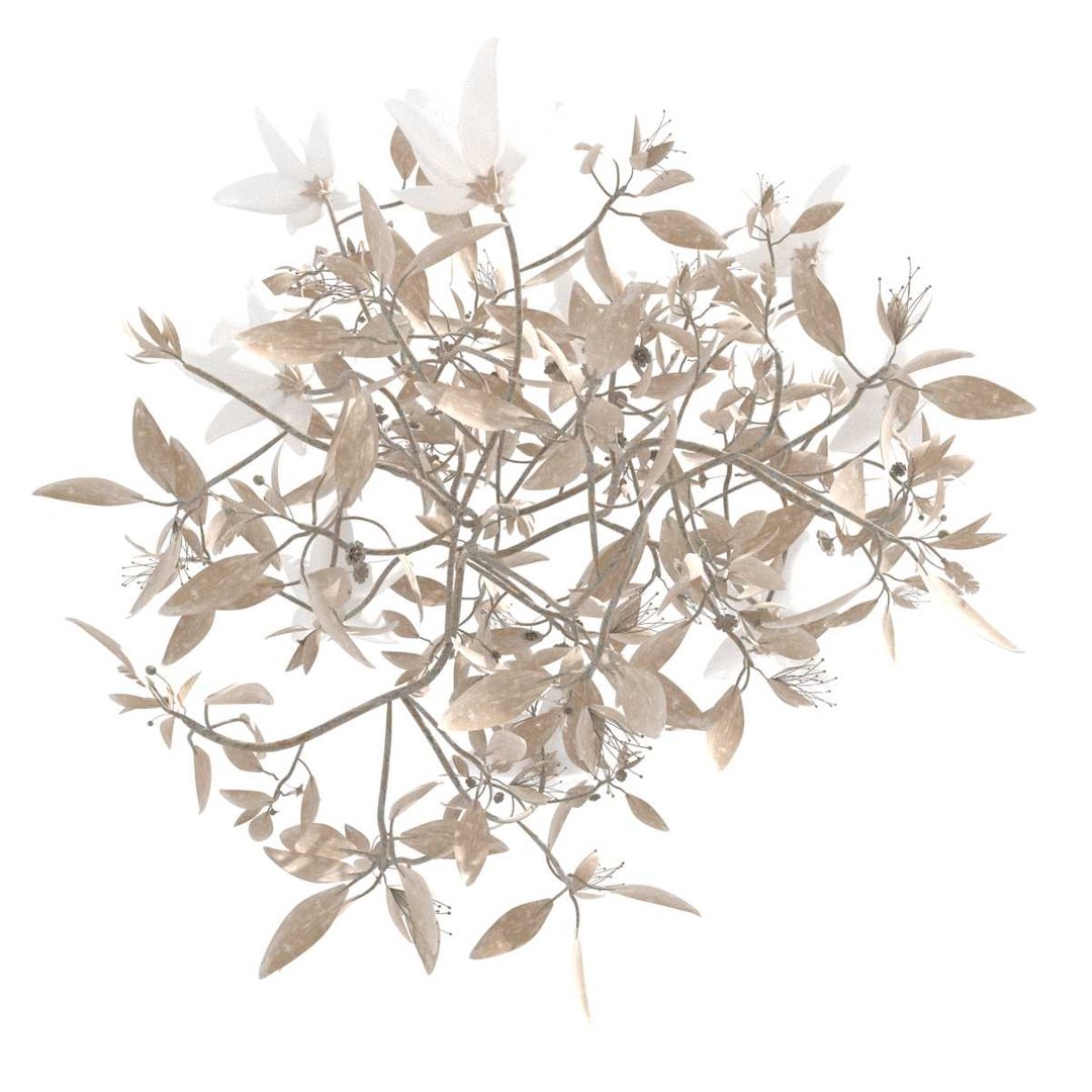 Chandelier Magnolia Cox London 3D Model - TurboSquid 1609135