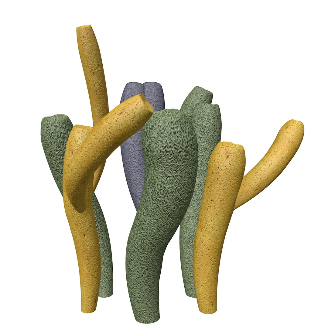 Tube Sponge Plant Collection 3D - TurboSquid 2377967