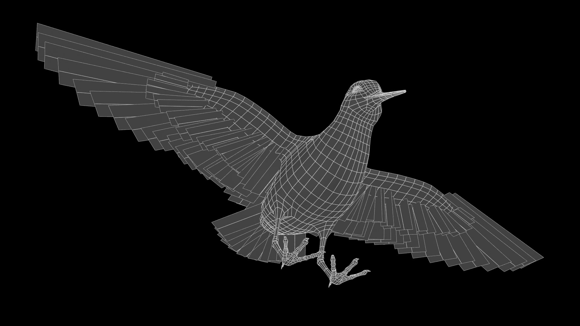Redshank 3D Model - TurboSquid 1526289