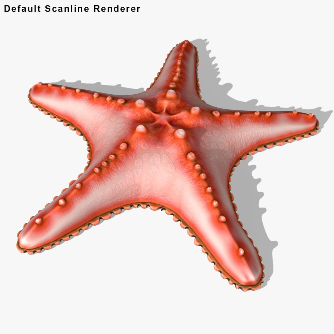 3d model sea star 2