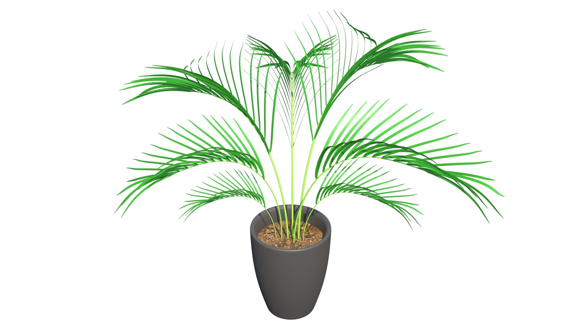 Palm Plant 3D - TurboSquid 1993353