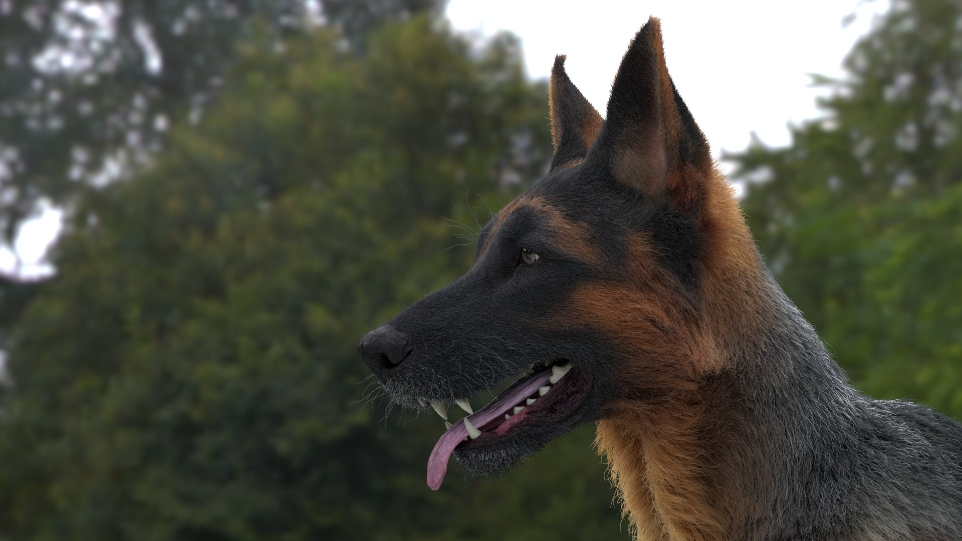 3D German Shepherd Model - TurboSquid 2236802