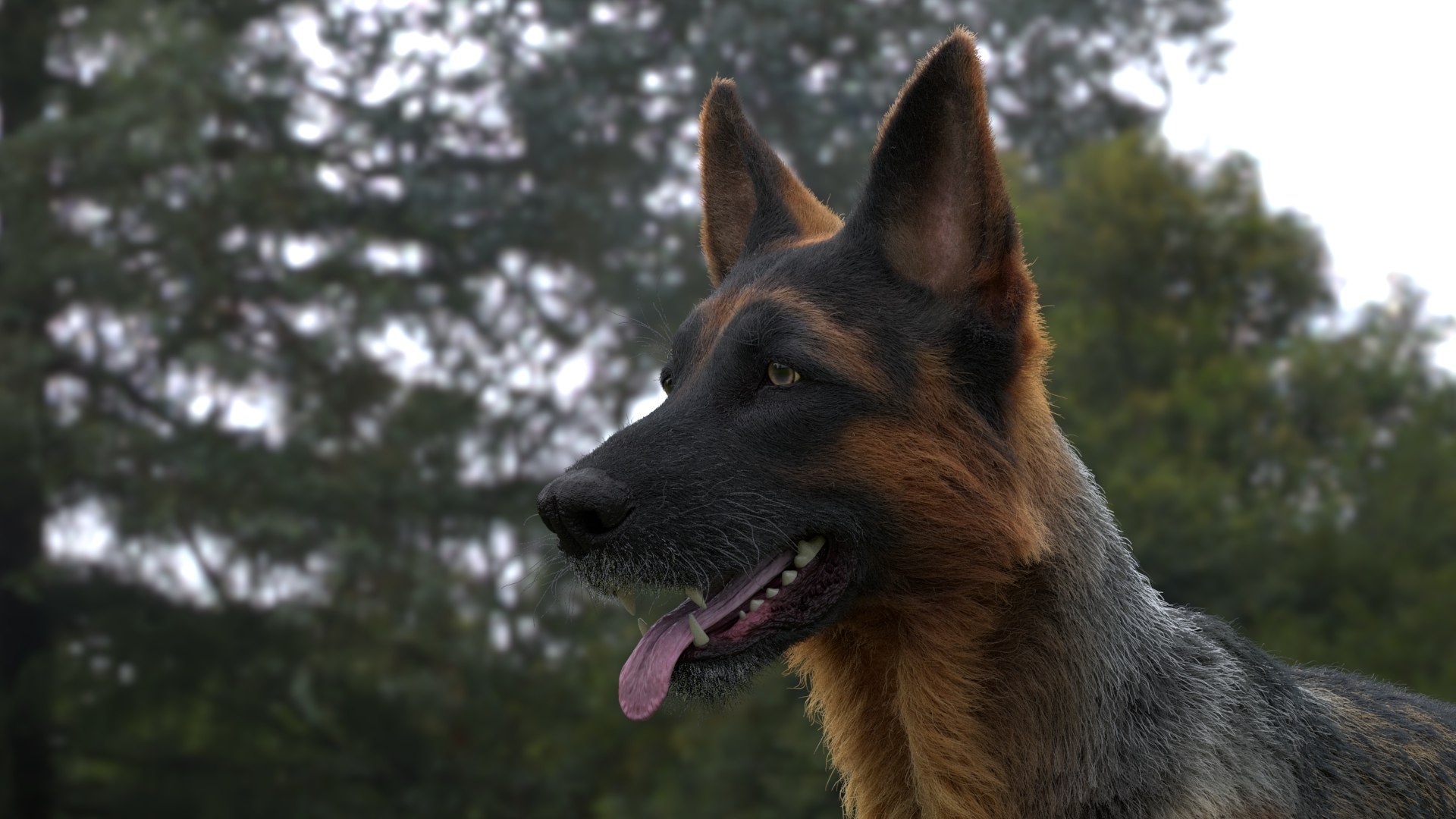 3D German Shepherd Model - TurboSquid 2236802