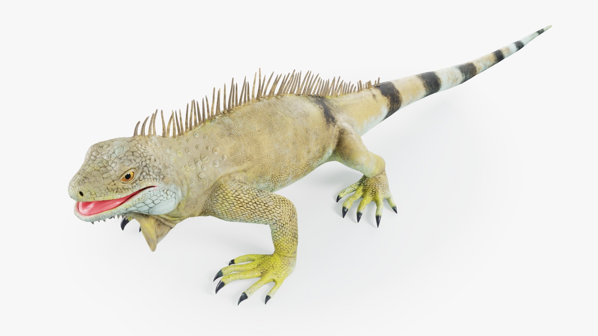 Iguana Model - TurboSquid 1961461