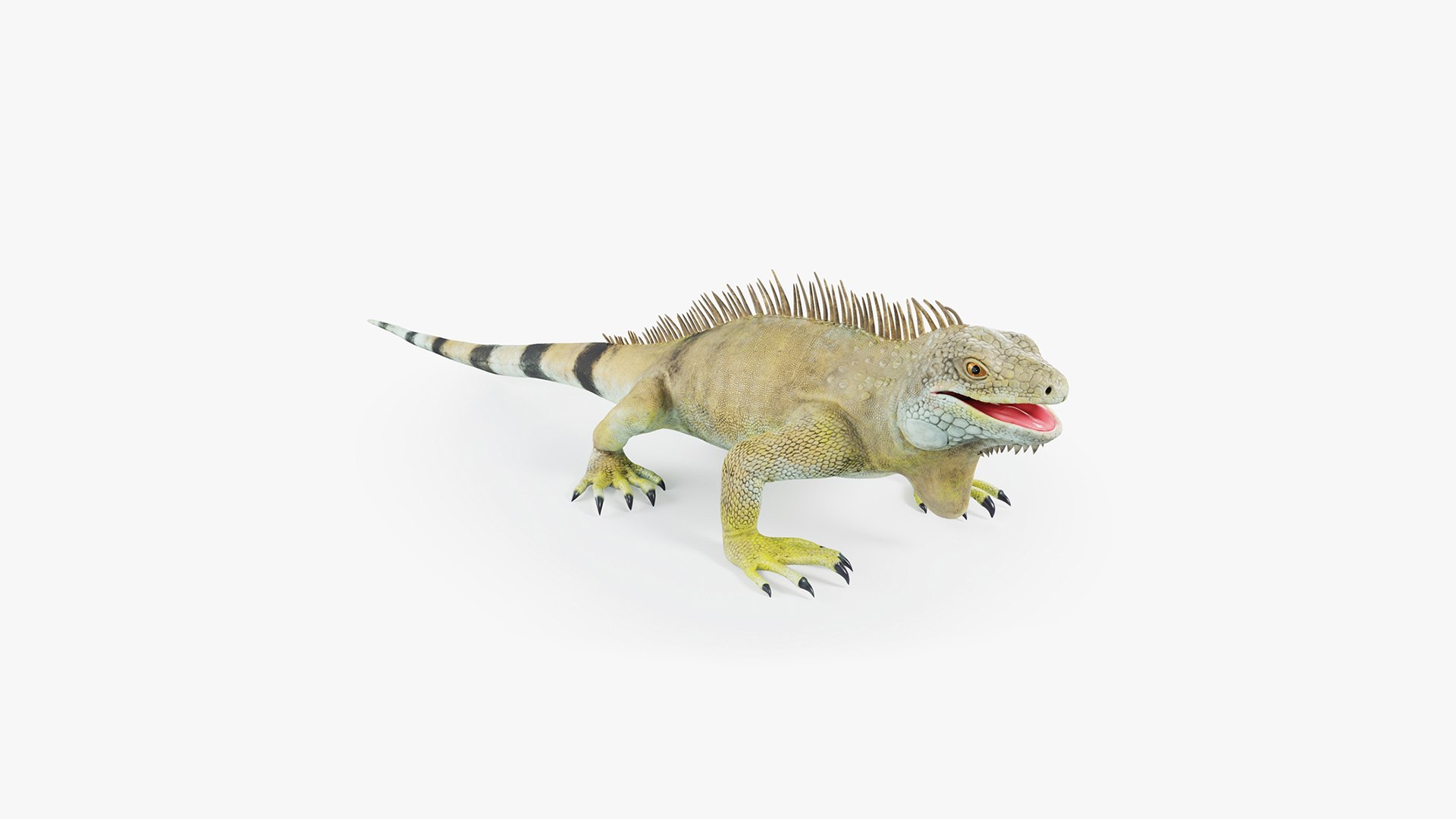Iguana Model - TurboSquid 1961461