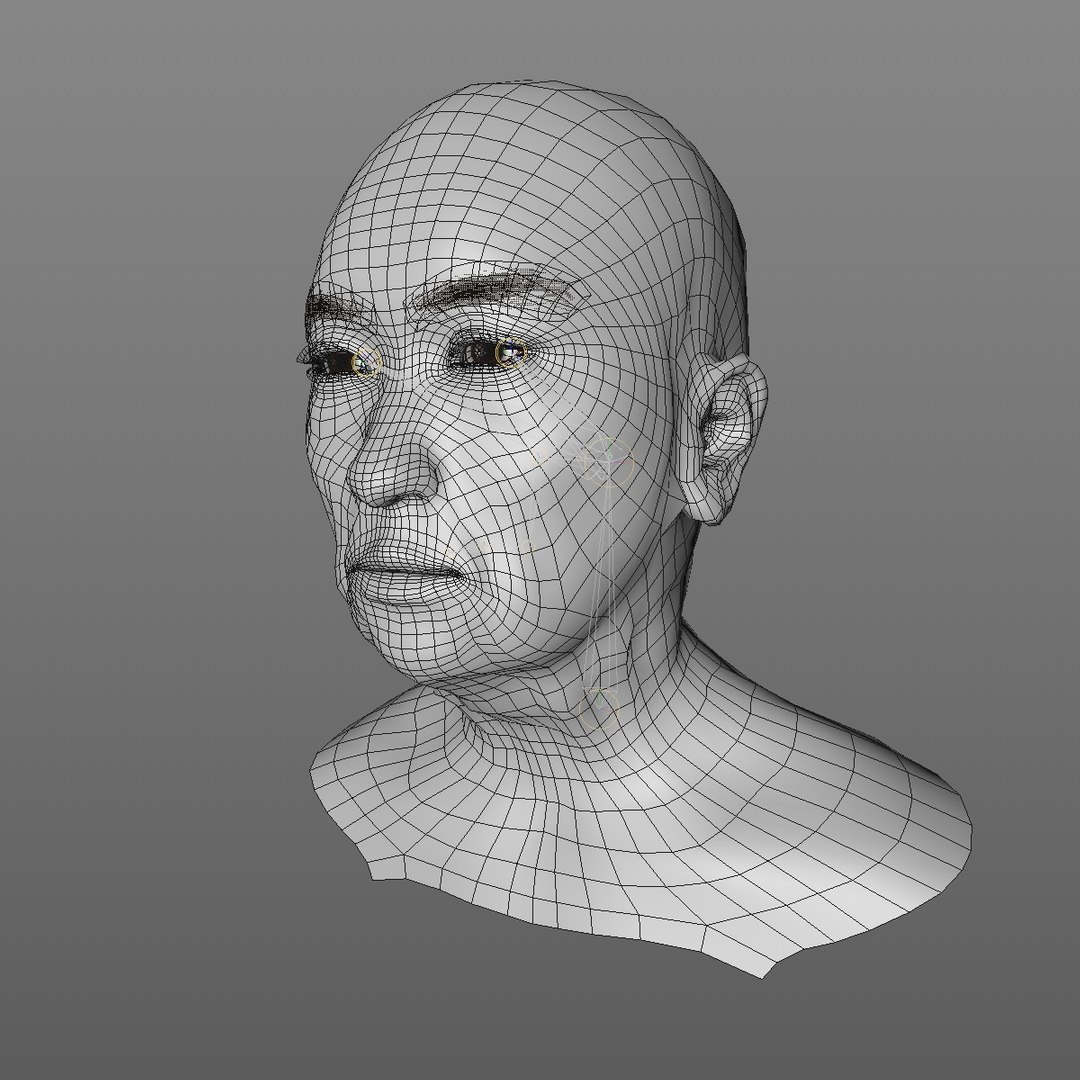 Realistic Head Base Mesh 3D Model - TurboSquid 1439698