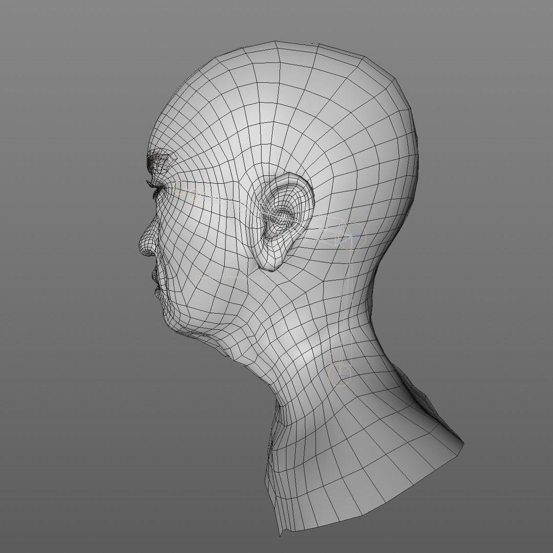 Realistic Head Base Mesh 3D Model - TurboSquid 1439698