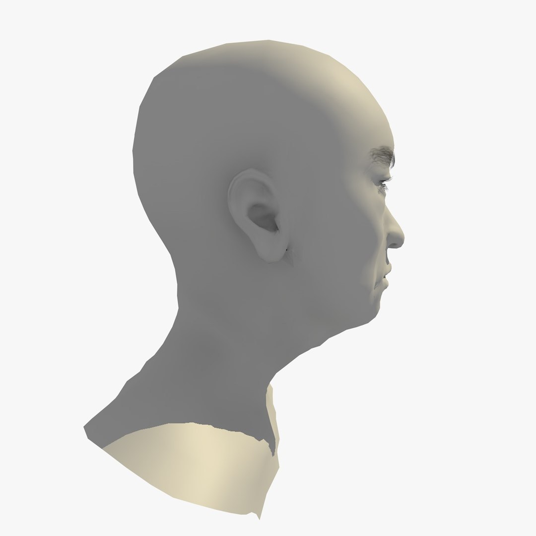 Realistic Head Base Mesh 3D Model - TurboSquid 1439698