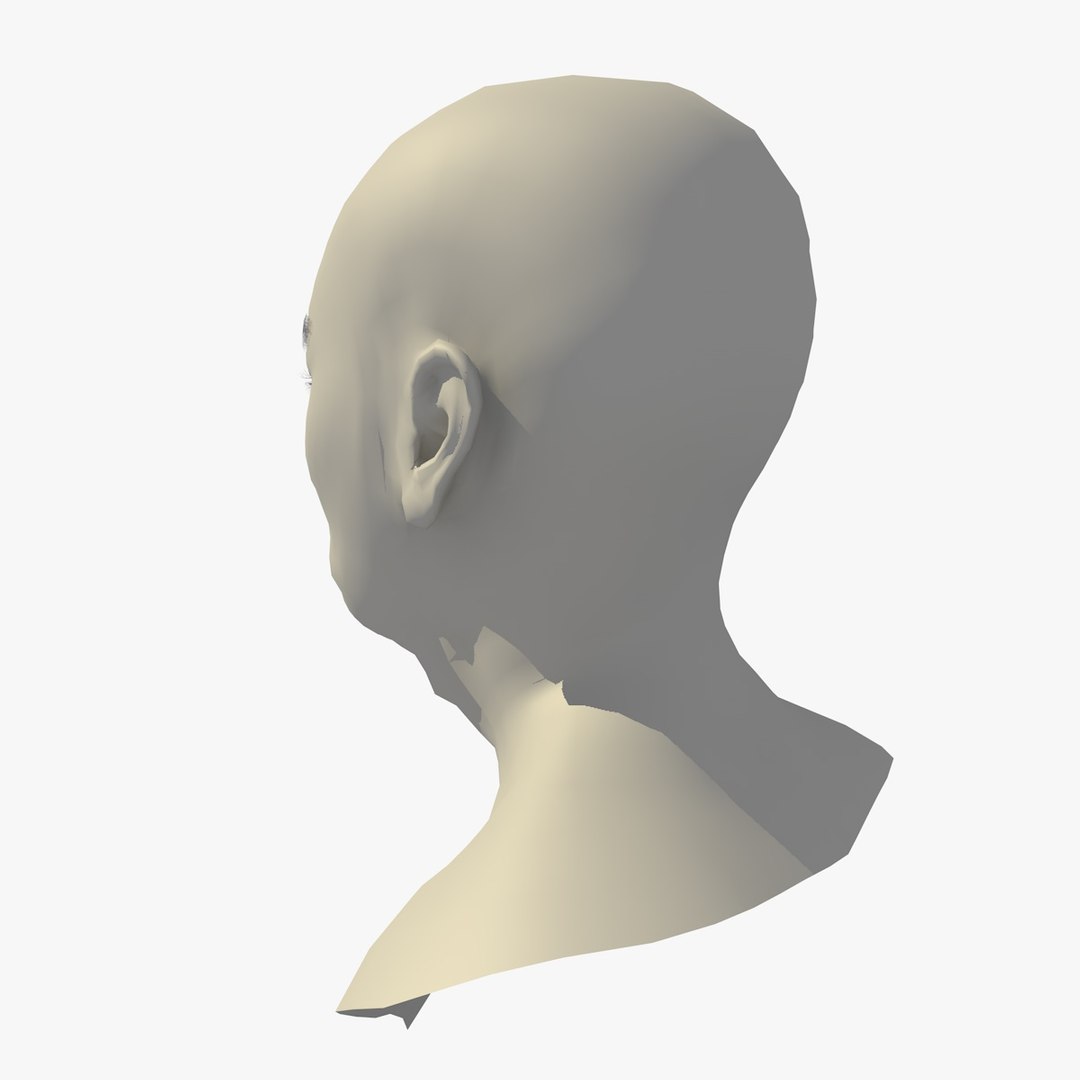 Realistic Head Base Mesh 3D Model - TurboSquid 1439698