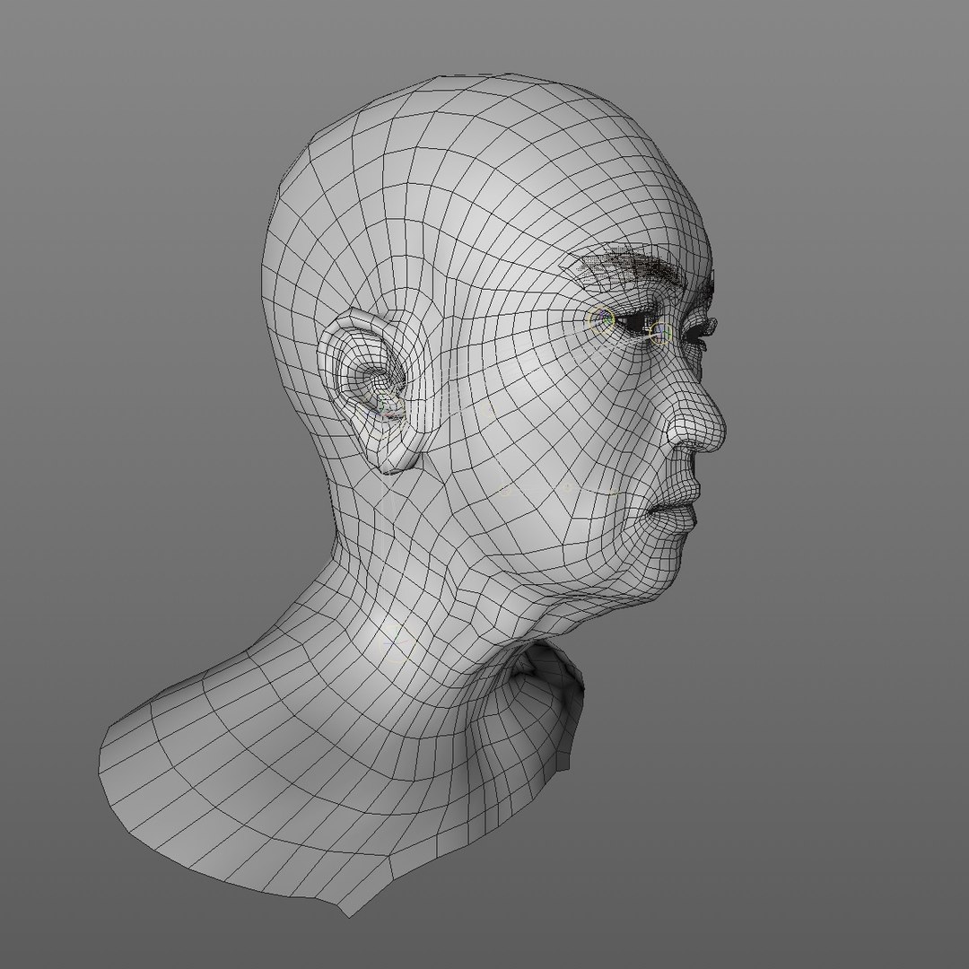 Realistic head base mesh 3D model - TurboSquid 1439698