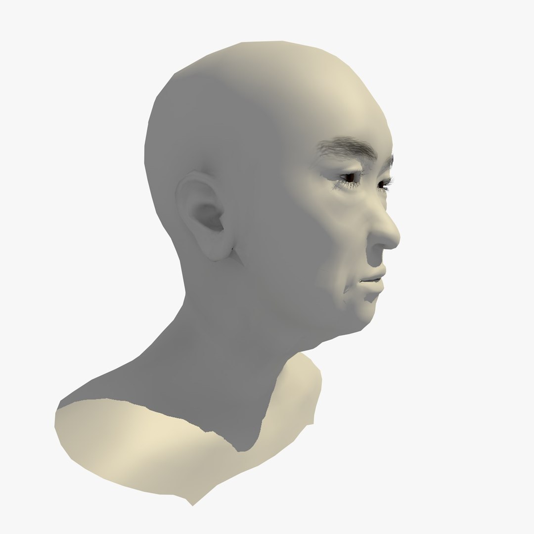 Realistic Head Base Mesh 3D Model - TurboSquid 1439698