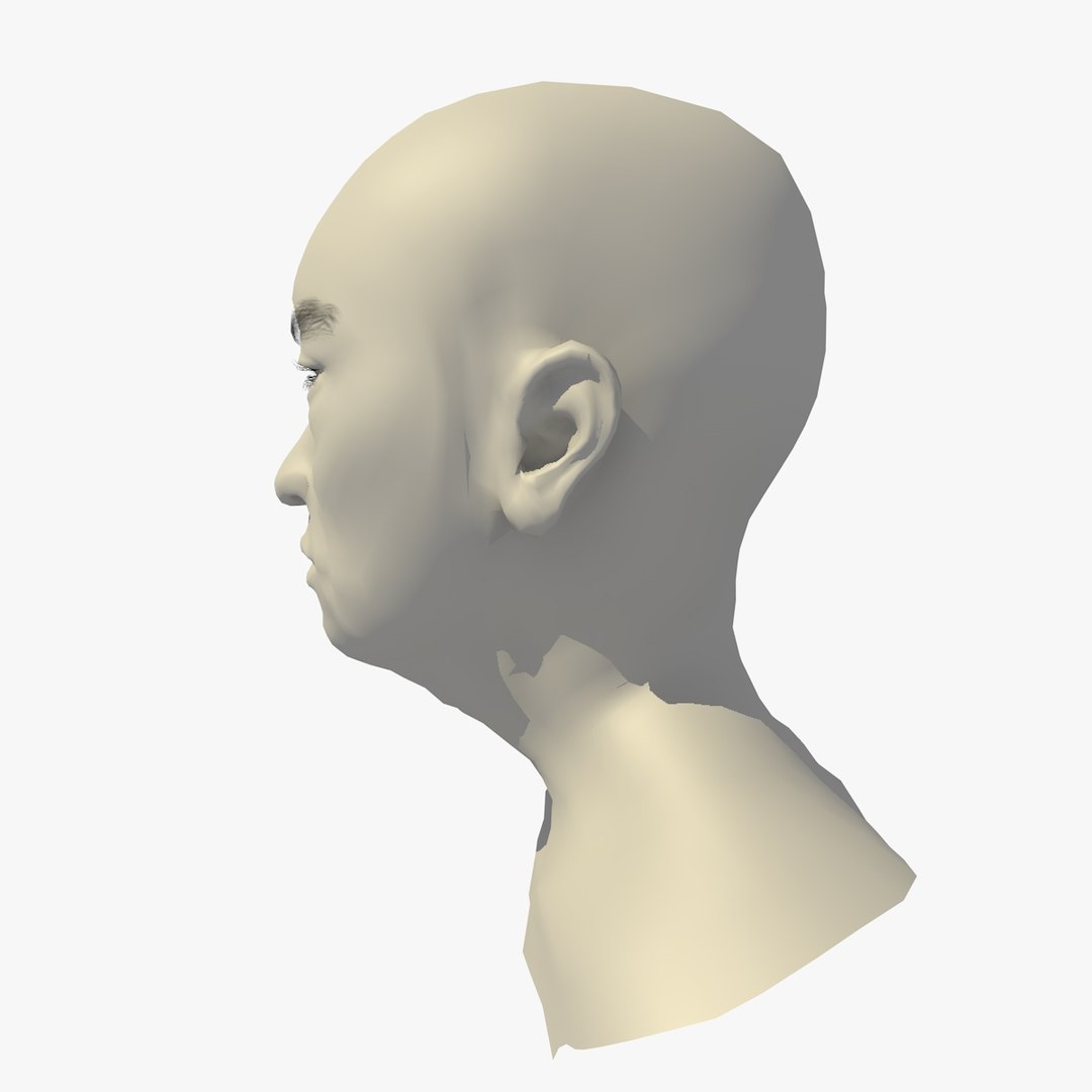 Realistic Head Base Mesh 3D Model - TurboSquid 1439698