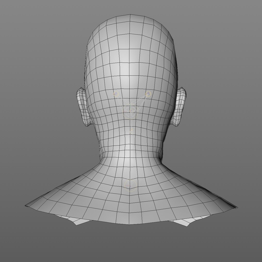 Realistic Head Base Mesh 3D Model - TurboSquid 1439698