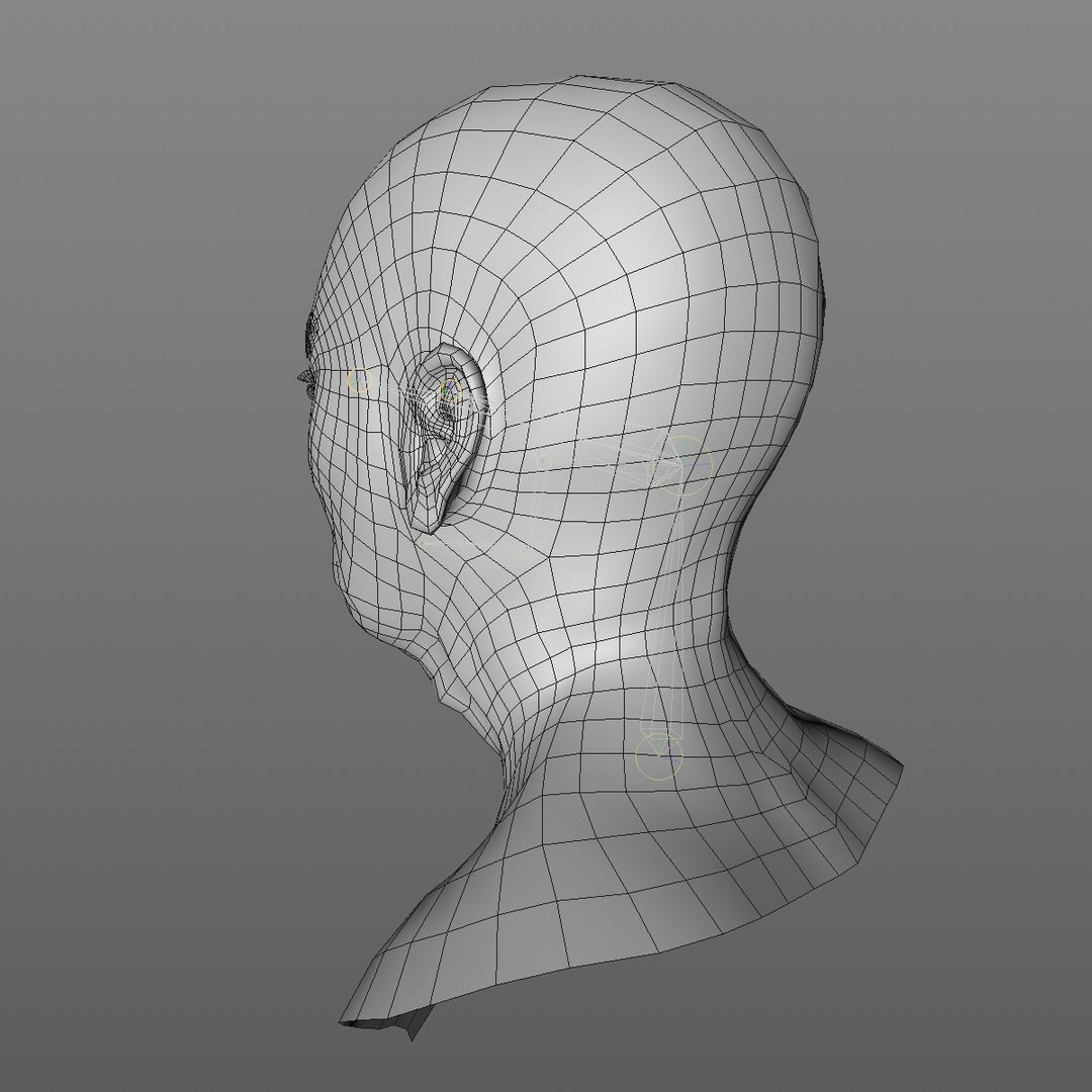 Realistic Head Base Mesh 3D Model - TurboSquid 1439698