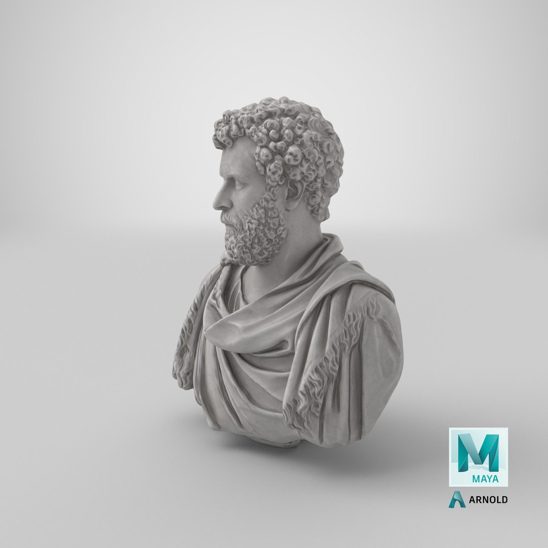 Clodius albinus bust 3D model - TurboSquid 1454910