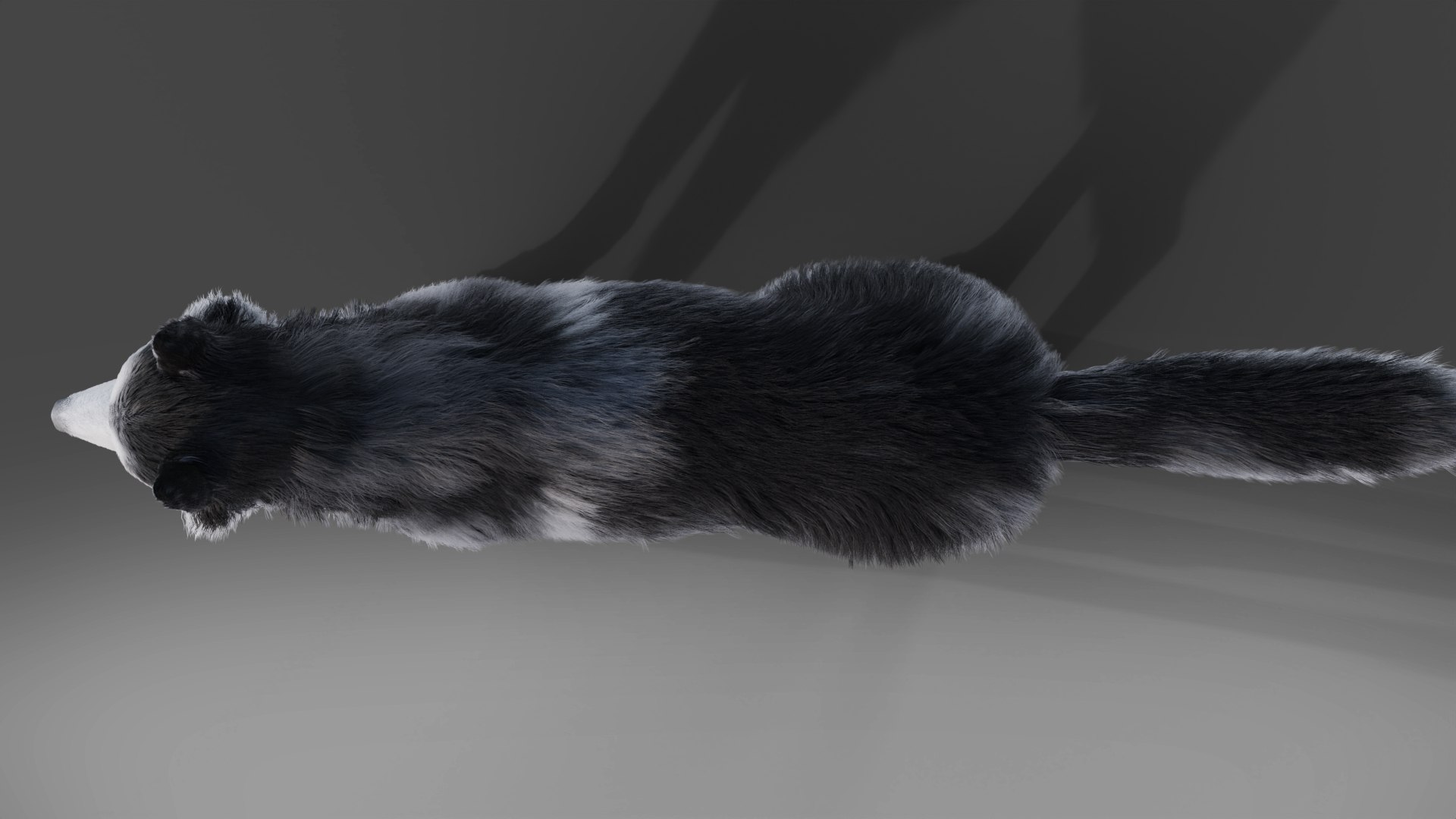 Fur Husky Rigged in Blender 3D - TurboSquid 1984651
